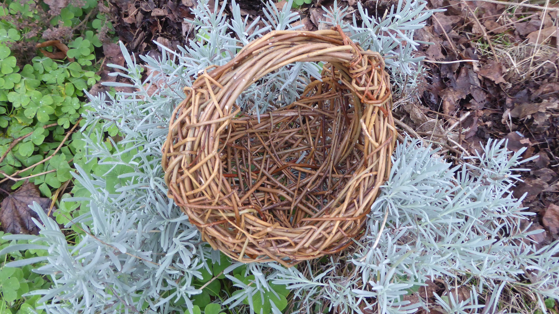 Create a Random Weave Willow Basket with artist Jacqueline Rolls ...